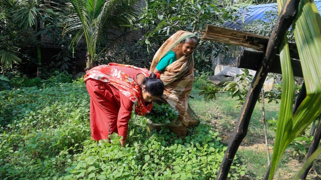 অনুষ্ঠান বাড়ির মতন পুনকা শাক রান্না | Bengali punka shak recipe ...