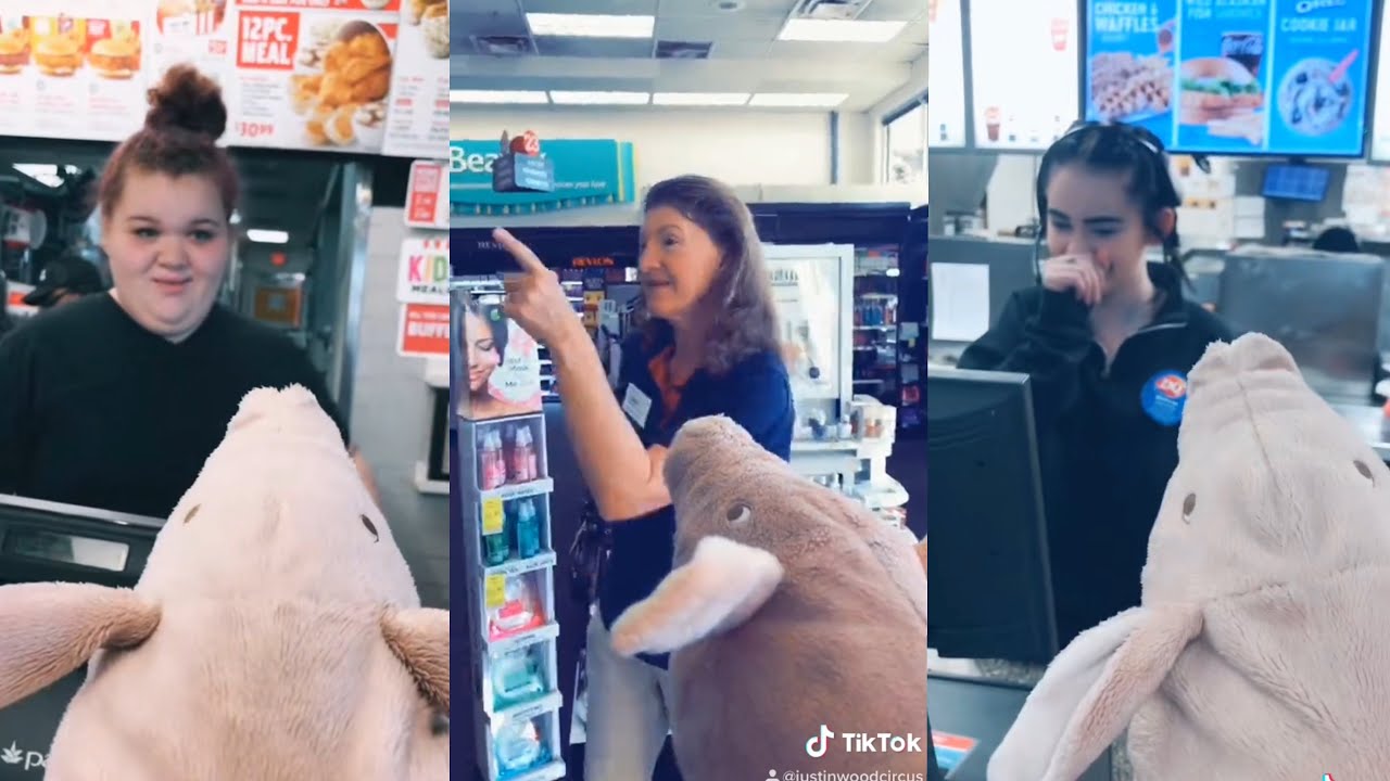 Mr Oink 🐷 (tiktok pig compilation) - YouTube