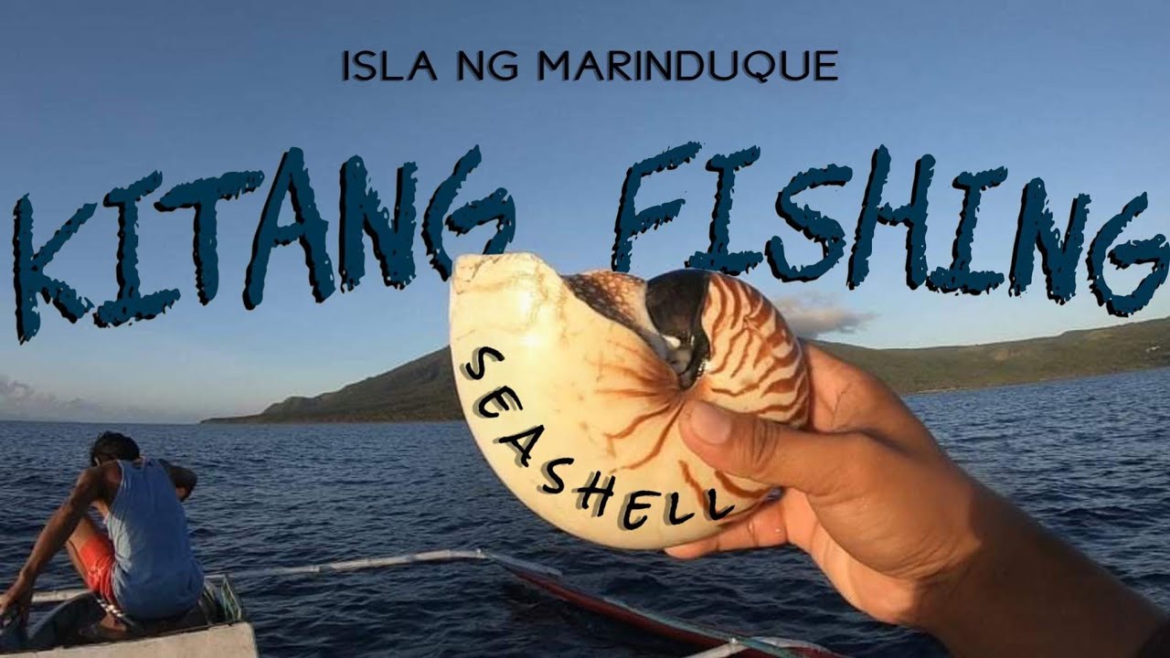 TRADITIONAL KITANG FISHING || SEA SHELL at EeL || Binga at Abo SARAP ...