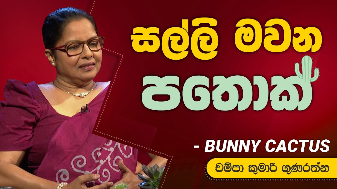 Champa Kumari Gunawardhana | Bunny Cactus | Bizi katha | බිසි කතා | Uda ...