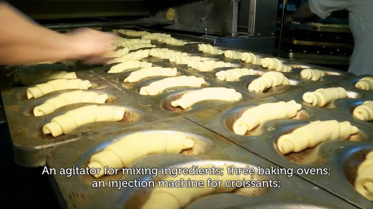 EU EBRD RoSEFF Energy Efficiency Primo Prod Baker Long Life Pastries ...