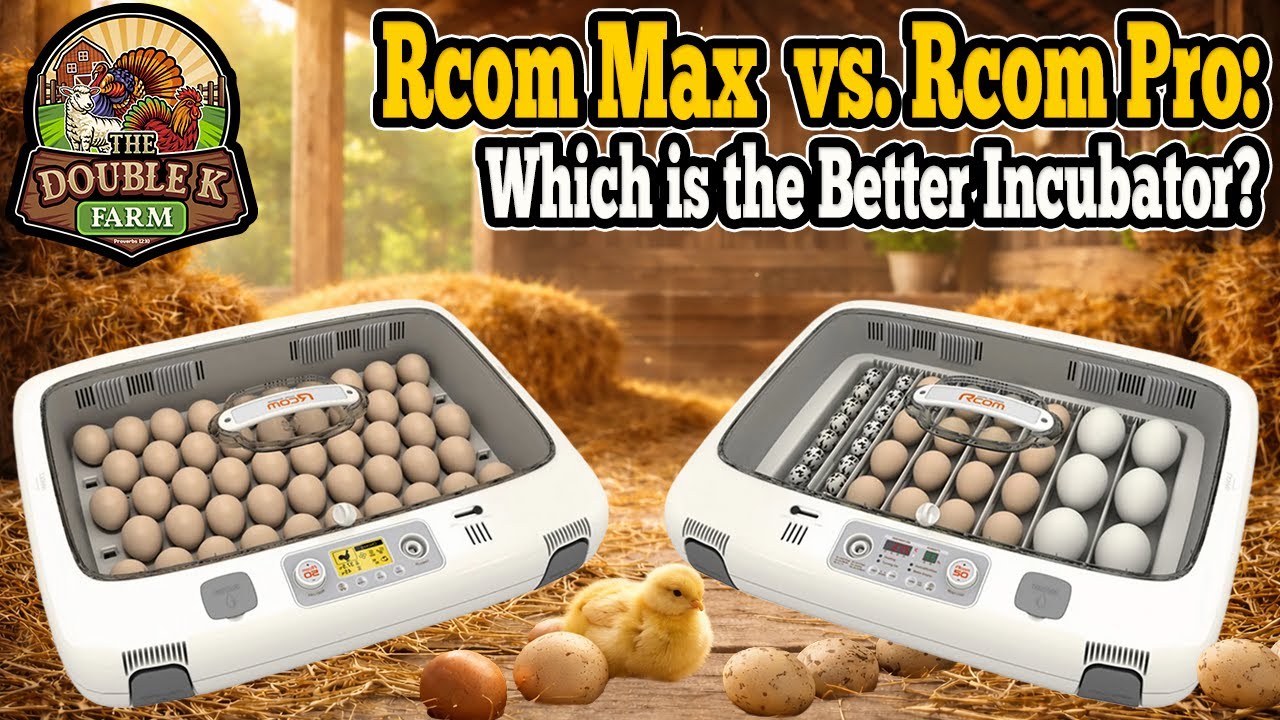 Rcom Max vs Pro Incubator Comparison | Which Should You Buy? - YouTube