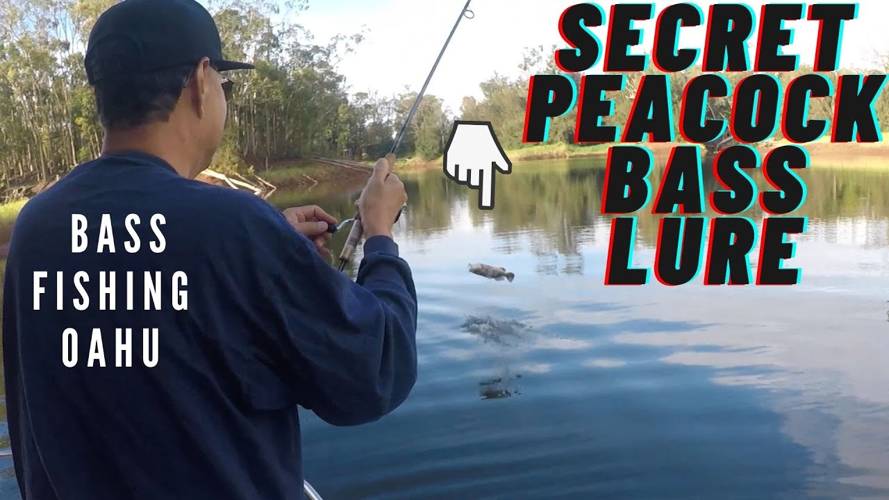Secret Peacock Bass Lure! - YouTube