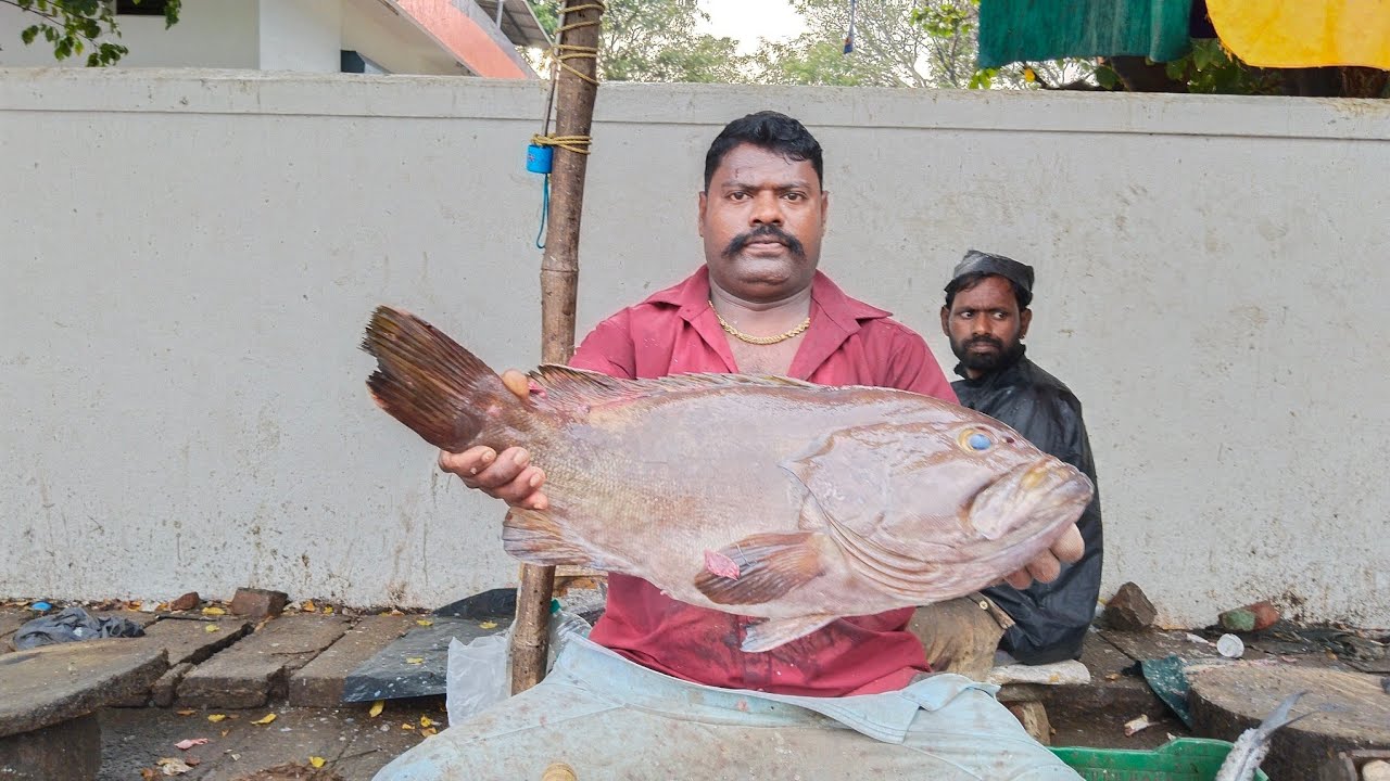 karupp kalavan fish cutting video/fishcuttingrs #fishcuttingrs #fish # ...