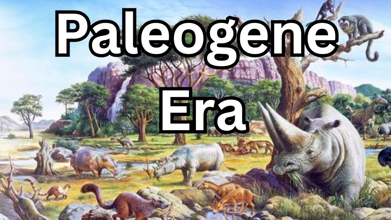 The Story of Paleogene Era | Story Time with Philip - YouTube