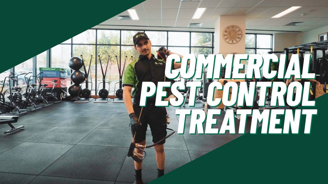 COMMERCIAL PEST CONTROL BY - ACTIVE PEST CONTROL MANAGEMENT - YouTube