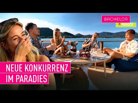 Achtung neue KONKURRENZ! 💥 LARISSA verdreht ALLEN den Kopf 😏 | Bachelor in Paradise 🌴