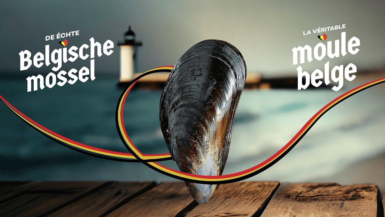 De échte Belgische mossel - YouTube