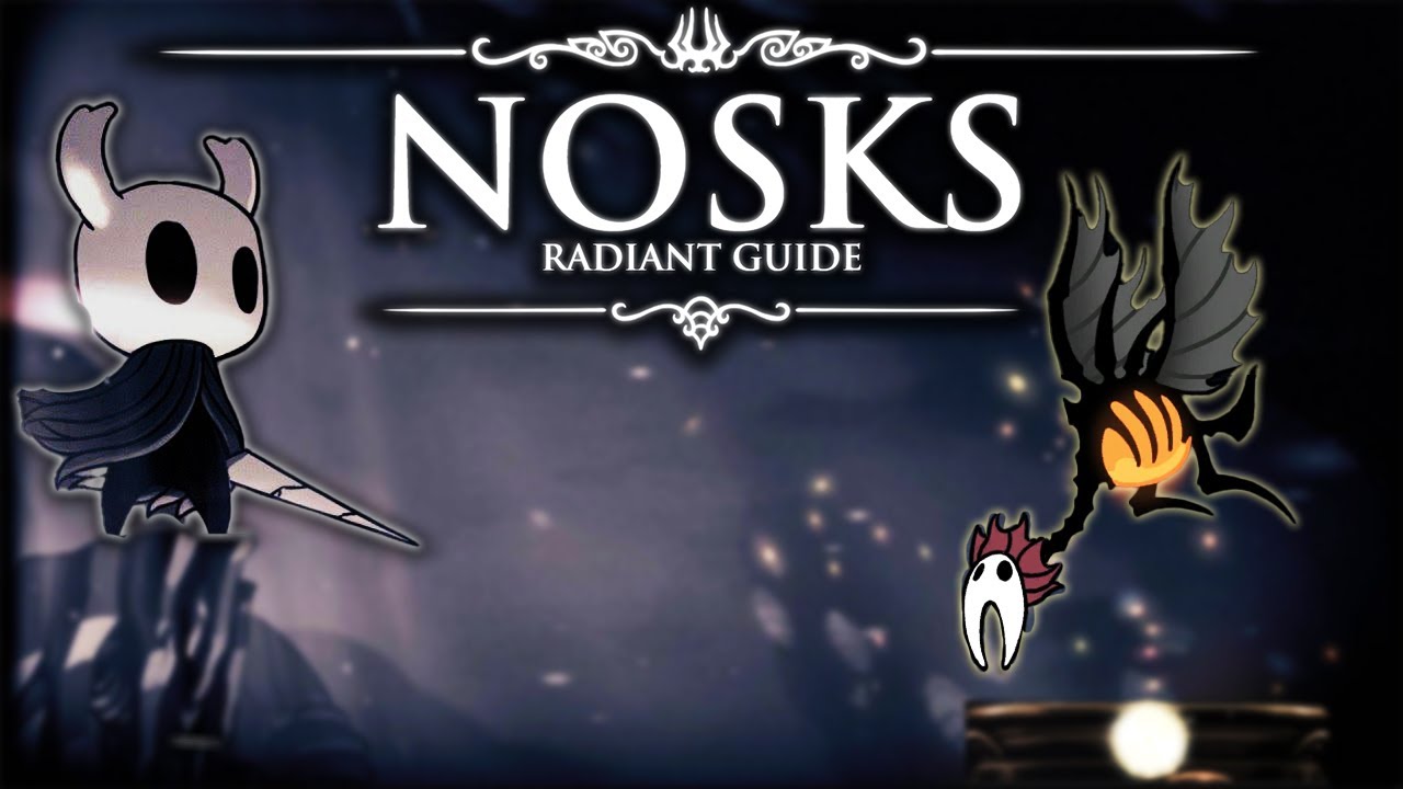 Hollow Knight: Nosks no hit guide - YouTube