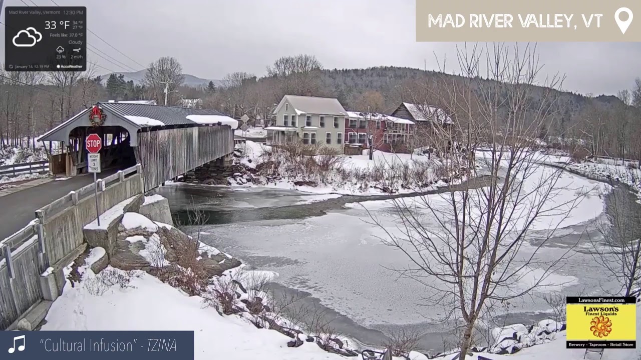 Live USA Webcams | 50 STATES IN 1 HOUR | Real-time Weather Traffic Cam ...