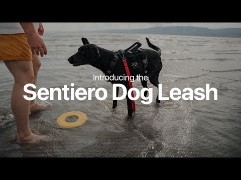Säker | Meet the Sentiero Dog Leash