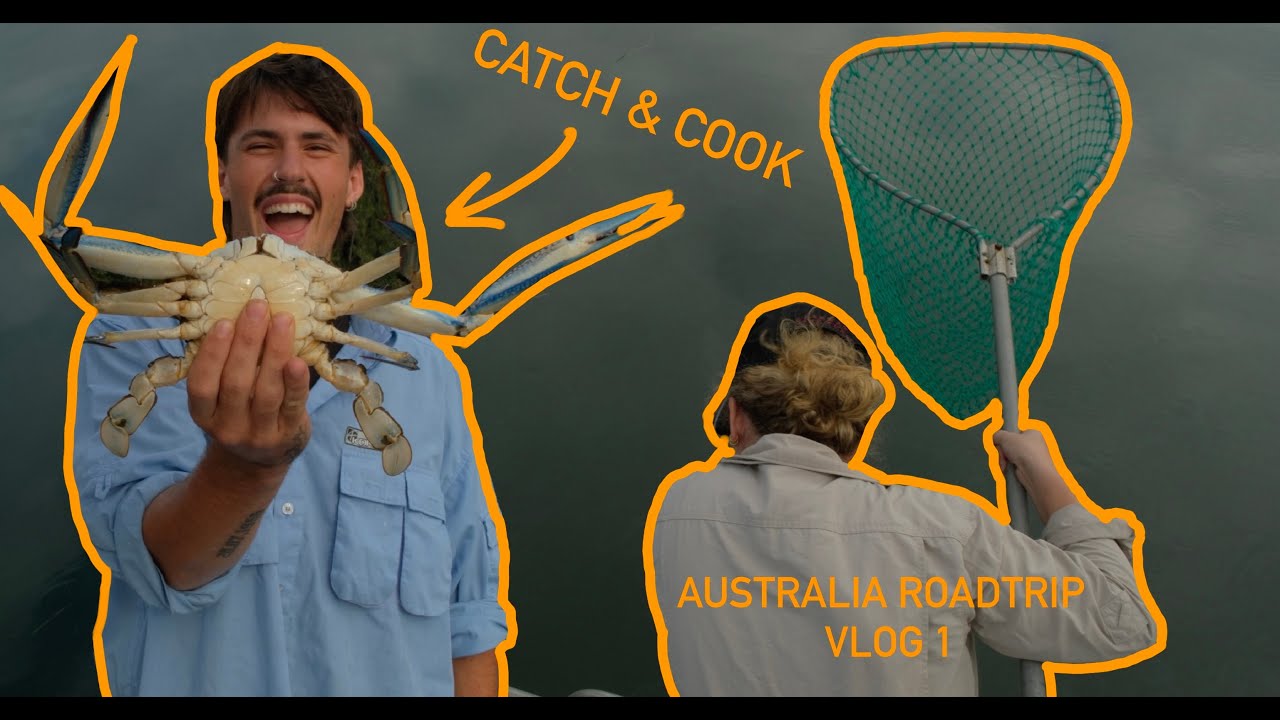 Catching And Cooking GIANT Crabs On Australia's East Coast | Australia ...