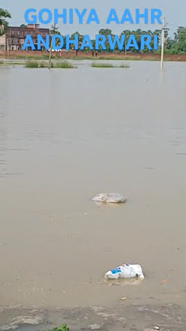 #GOHIYA AAHAR ANDHARWARI RAJAULI NAWADA - YouTube