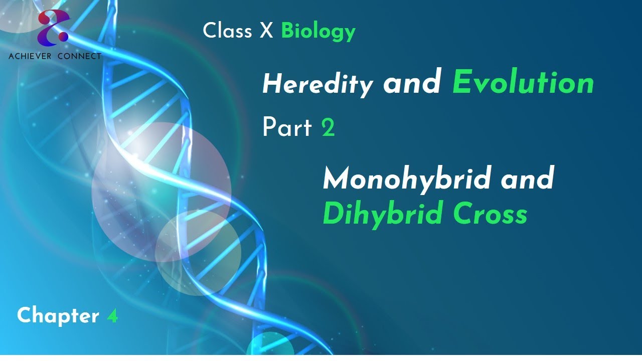 Heredity and Evolution | Part 02 | Mono-hybrid and Dihybrid Cross ...
