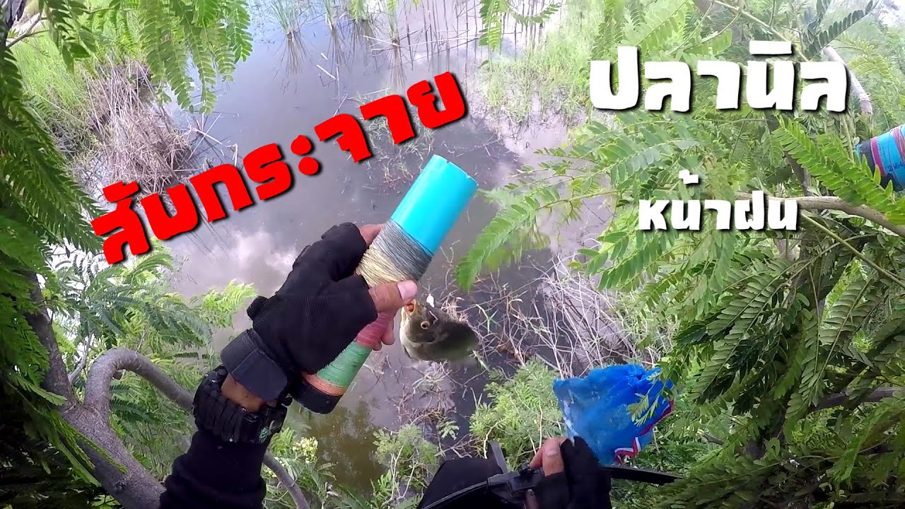 สับมันส์กระจาย ยิงปลานิล "SHOOTINGFISH By "CROSSBOW ROYAL S7" | รายการ ...