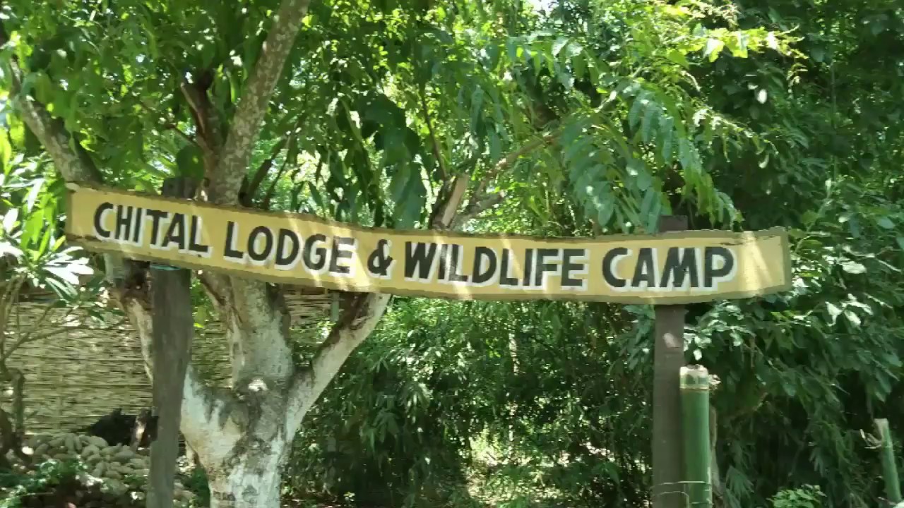 Meghauli Wildlife & Jungle Safari Tour - YouTube