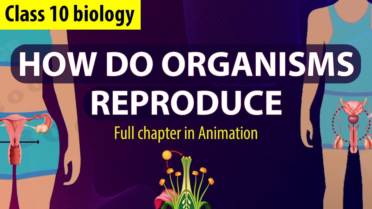 How Do Organisms Reproduce Complete Chapter🔥 in Animation |Class 10th ...