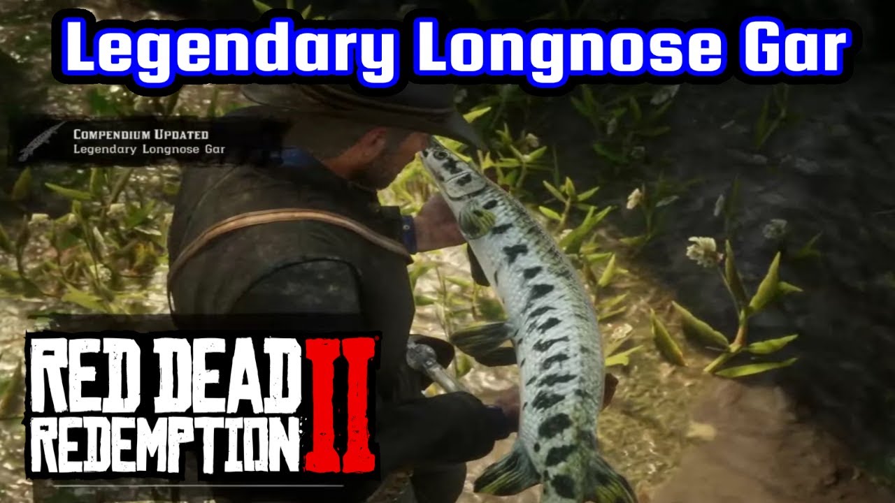 Red Dead Redemption 2 - Legendary Longnose Gar - YouTube