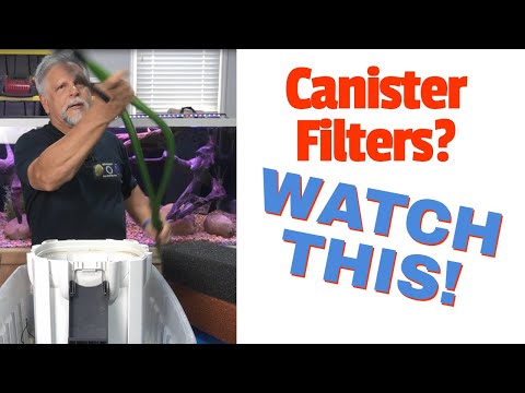 The BEST CANISTER FILTER Tips I've EVER HEARD!