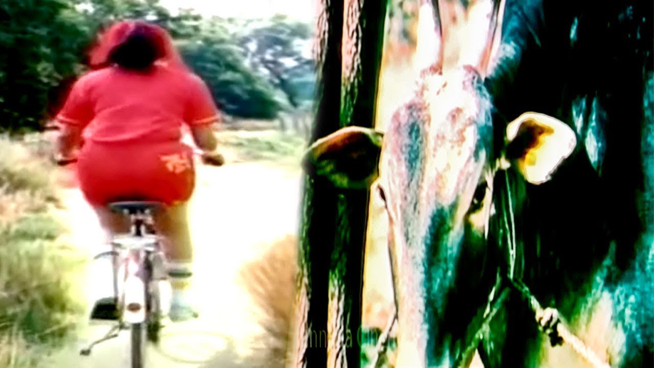 Kannada Movie Best Scene || Mandyada Gandu Movie || Srishanthi ...