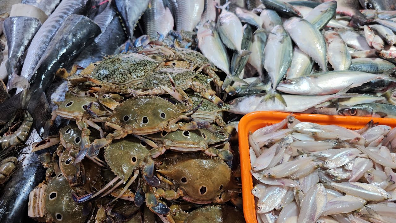 sagar fish world hoodi Bangalore #fishlovers #seafood #fishcutting # ...