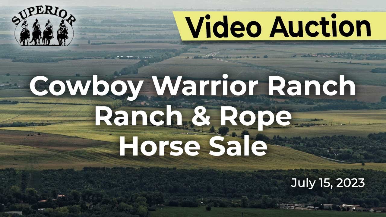 Cowboy Warrior Ranch - Ranch & Rope Horse Sale - YouTube