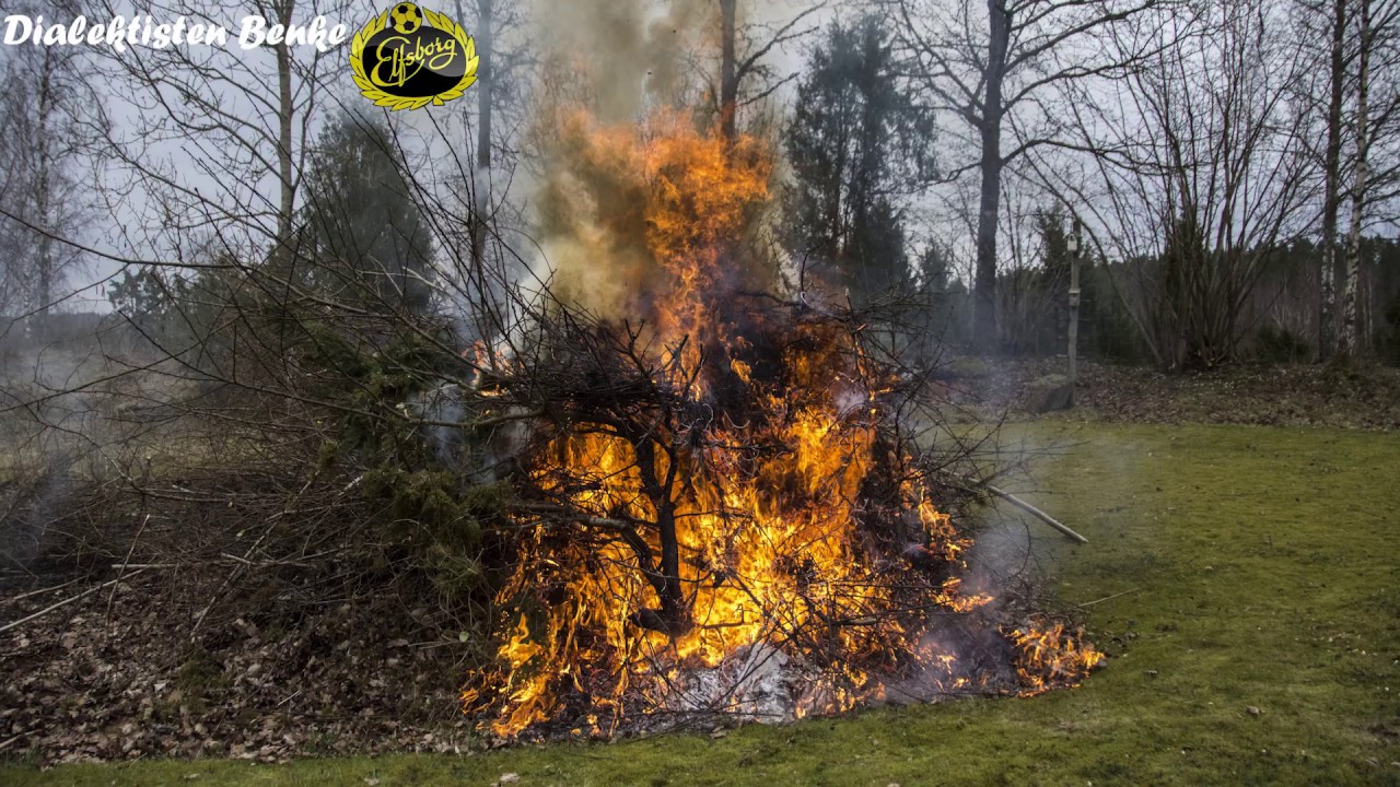 Random Bilder Compilation #30 - YouTube