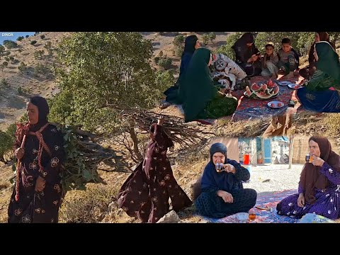 🪚🏕Azam Goes to the Mountains to Gather Firewood | An Exciting Nomadic Family Day 🏔️🔥