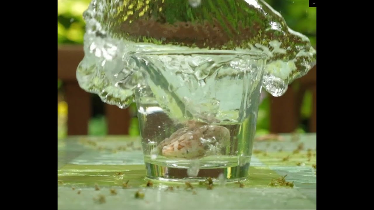 Slow motion - pebble falling in a glass of water - YouTube
