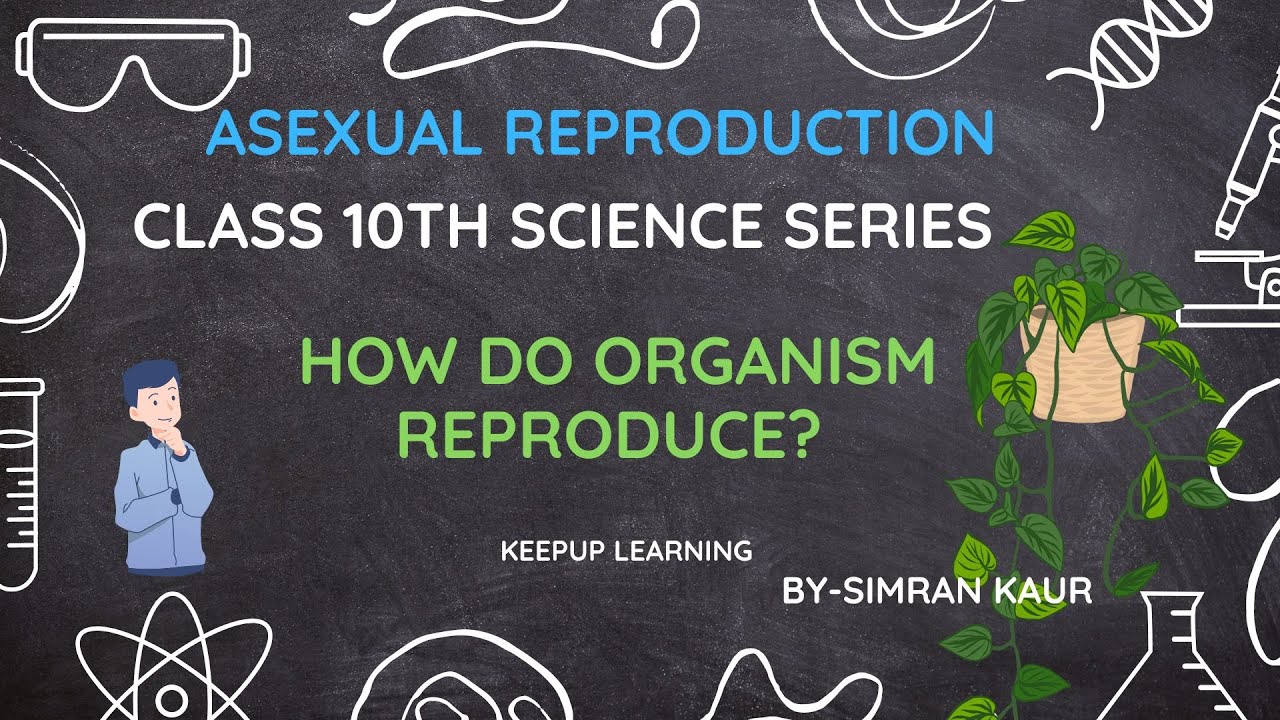 How do Organism reproduce? | Asexual reproduction | Class 10th| NCERT ...