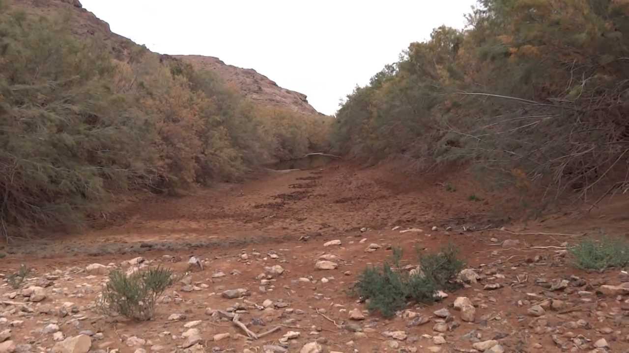 150-10ème jour - Arrivée à l'embranchement avec oued Drâa - YouTube