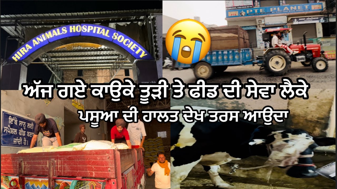 Hira Animal hospital kaunke // ਅੱਜ ਸੇਵਾ ਲੈਕੇ ਗਏ ਫੀਡ ਤੇ ਤੂੜੀ ਦੀ - YouTube