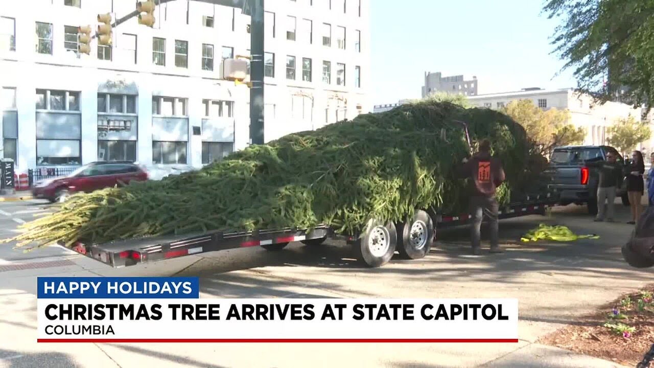 State Christmas tree arrives at South Carolina State House - YouTube