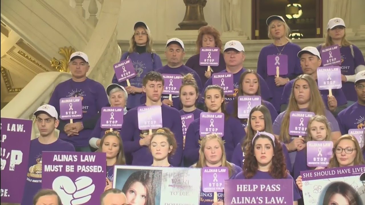 Alina's Law strengthens PFA orders - YouTube