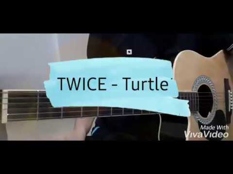 TWICE - Turtle (Acoustic Play Along Cover)