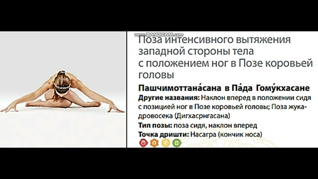 Western Intense Stretch Pose in Leg Position of Cow Face Pose - YouTube