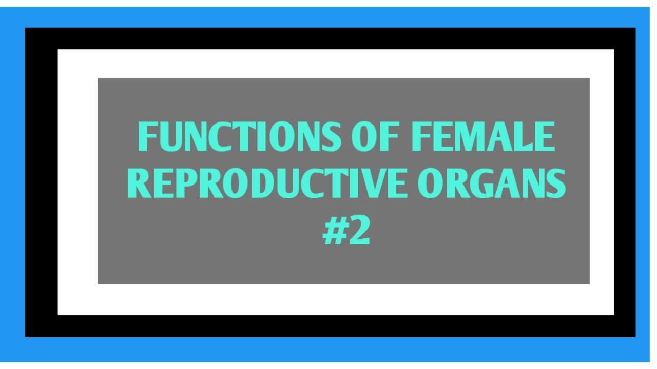 Functions of female reproductive organs #2 #reproduction - YouTube