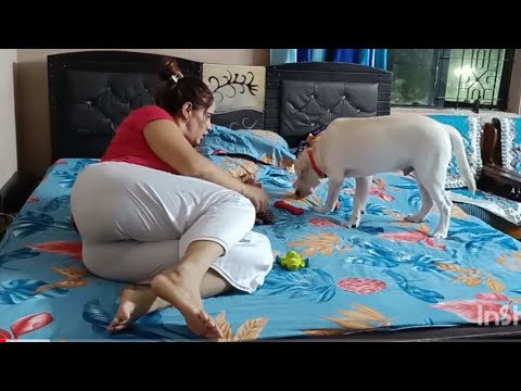 Get time in the evening 😜 Playing with Max🐕🤗 housewife vlogs🏡