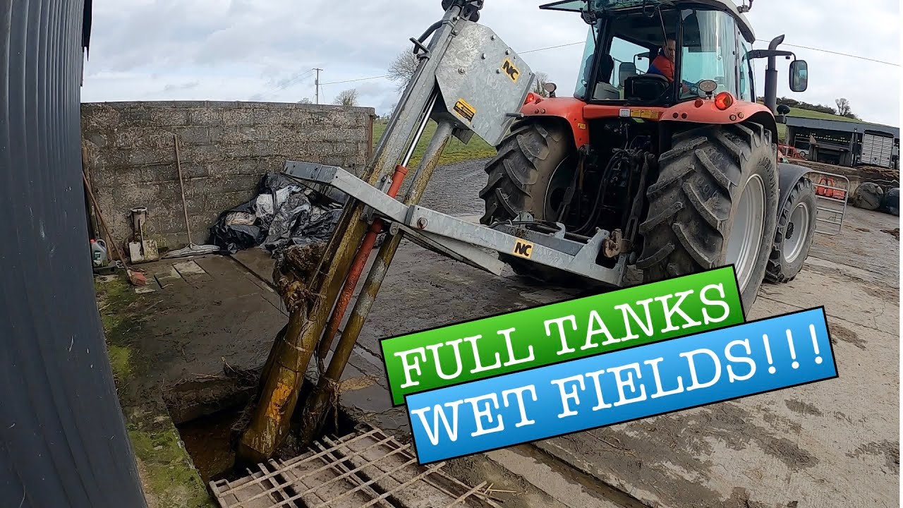COWS OVER 6 MONTHS INDOORS !!! "FULL SLURRY TANKS AND WET FIELDS ...