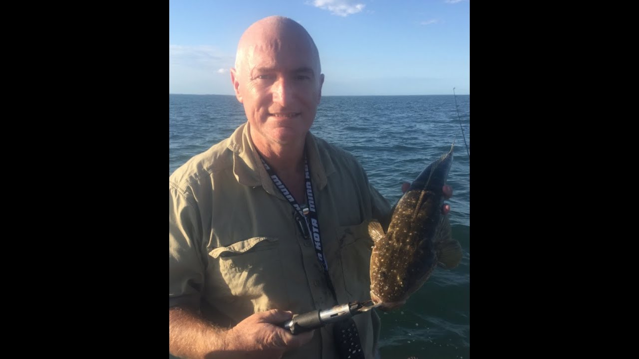Flathead & Bream fishing, soft plastic's in shallow reef - YouTube