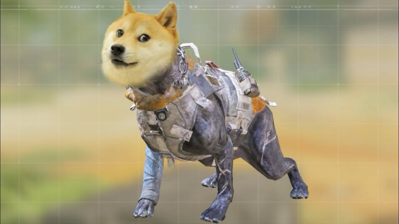 What da Doge doin? - YouTube