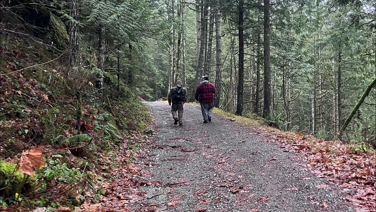 Breakfast and Squatching Forest Hikes - YouTube