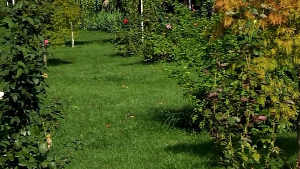 Nikon Coolpix L810 Sample Video