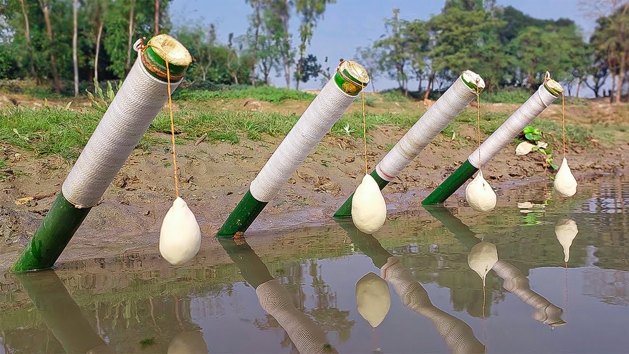 Top Best Hook Fishing Method Village Smart Boy Catching Big Fish With ...