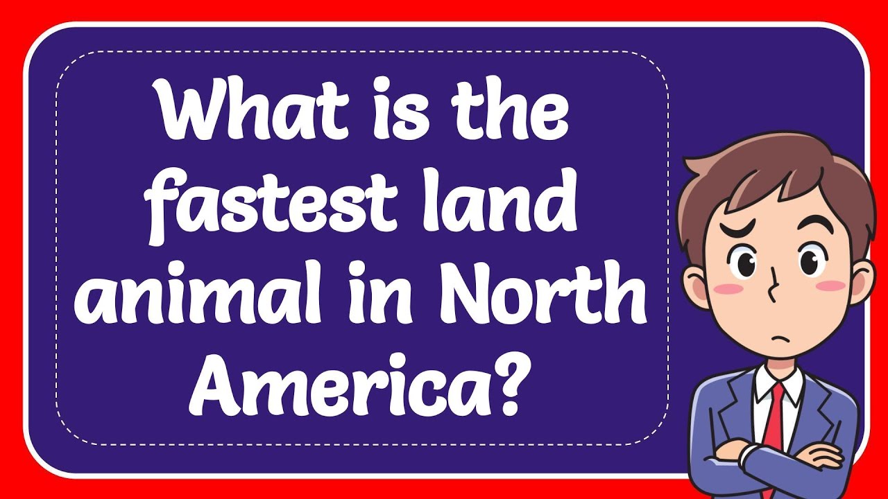 What is the fastest land animal in North America? Answer - YouTube