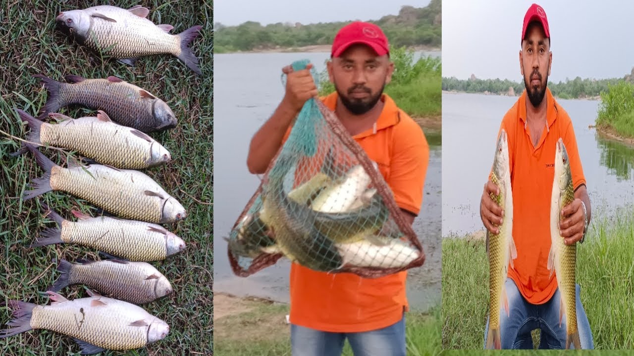 mirgal fish | carp fish 🐠 | rohu fish | fishing technique after Ramazan ...