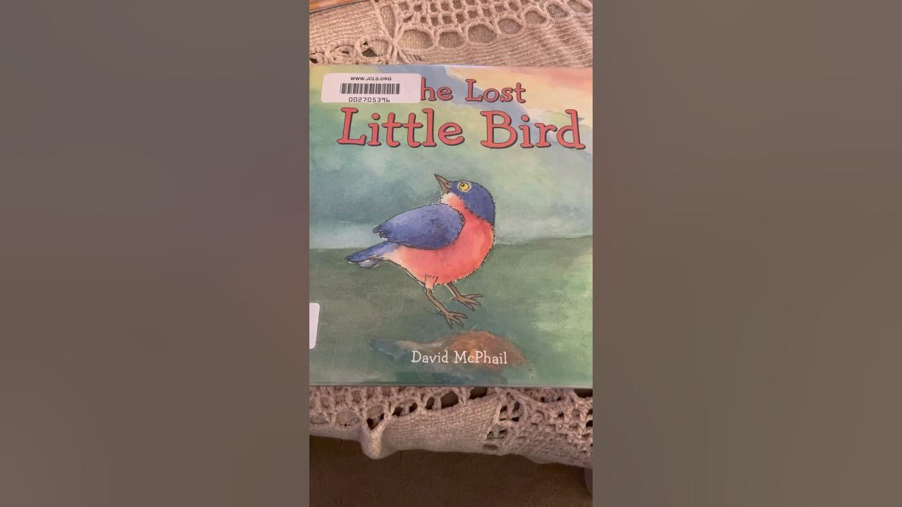 The Lost Little Bird by David McPhail - YouTube