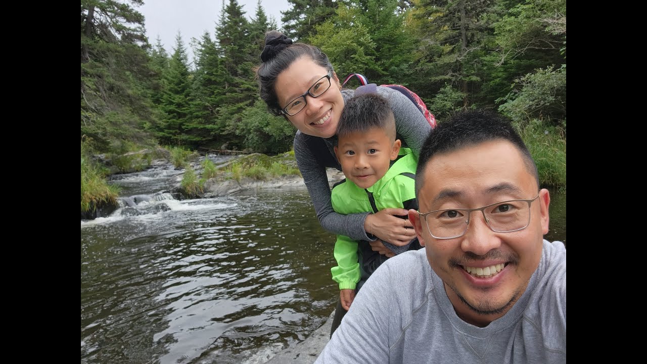 Walking at South Brook Trail in St. John's, Newfoundland - YouTube