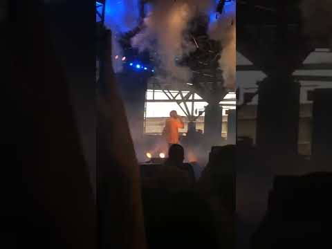 Wiu - Sucrilhos - The Choice Poa