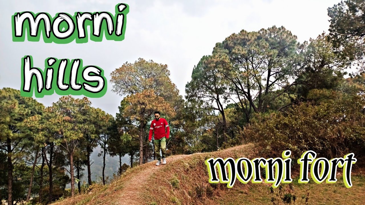 MORNI HILLS II HARYANA HIMACHAL border ll morni fort - YouTube